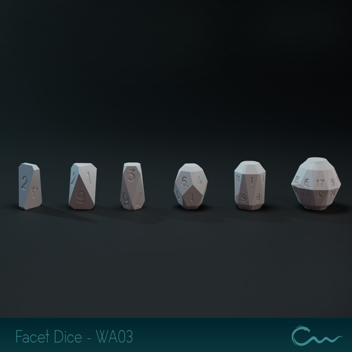 3D Printable Facet Dice - WA03 by The Cape Wyrm