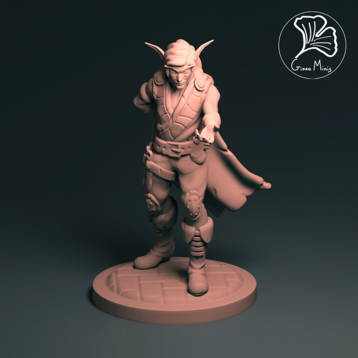 3D Printable Orolen the elf assassin by Ginko Minis