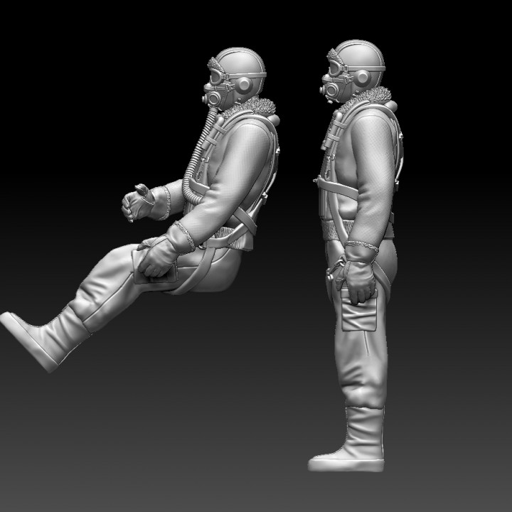 3D Printable pilot us by 3Dimontis