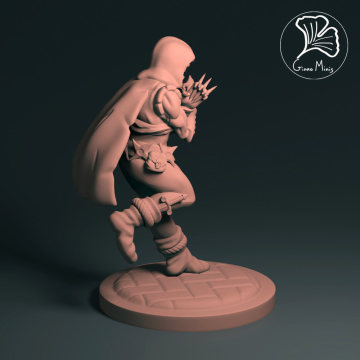 3D Printable Delmon the human assassin by Ginko Minis