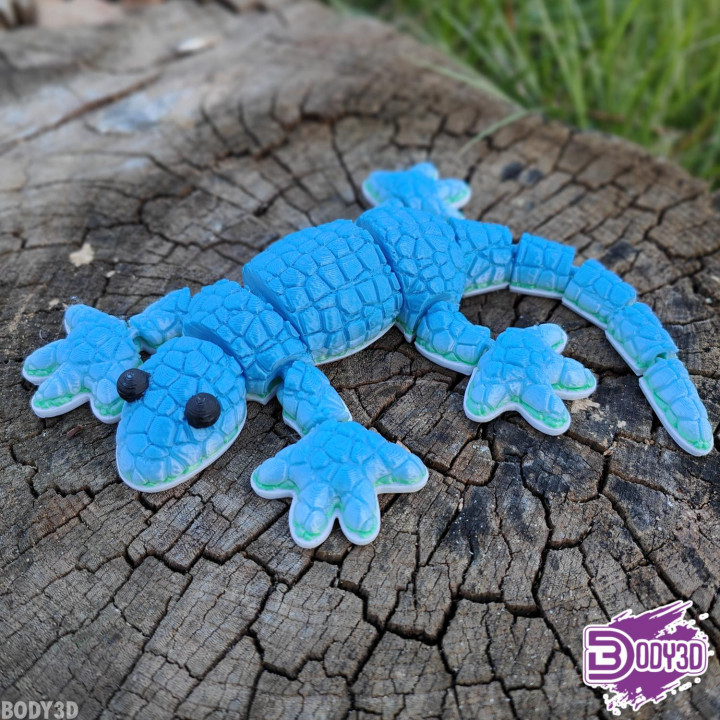 3D Printable 10 Articulated Cute Salamanders by BODY3D