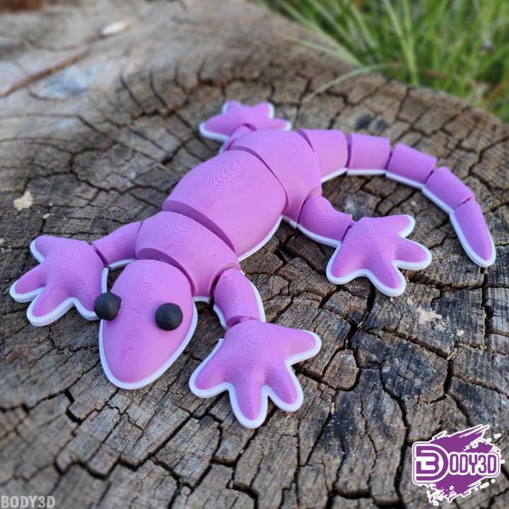 3D Printable 10 Articulated Cute Salamanders by BODY3D