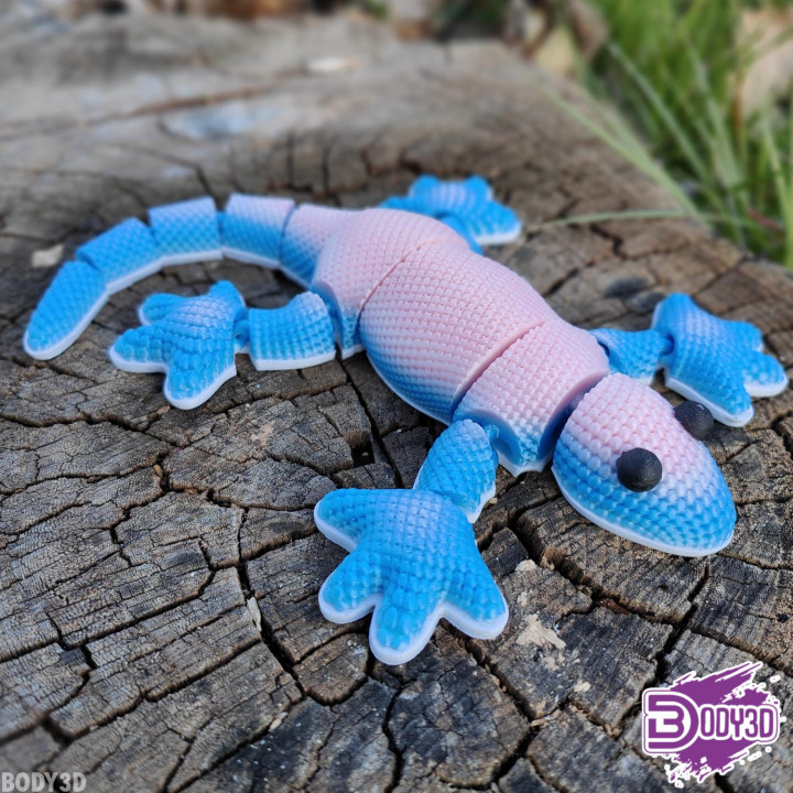 3D Printable 10 Articulated Cute Salamanders by BODY3D