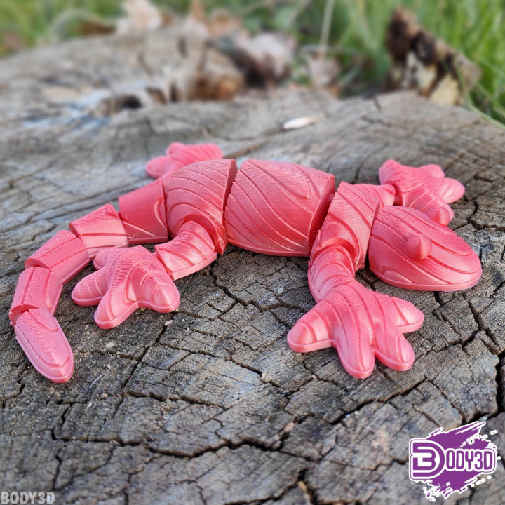 3D Printable 10 Articulated Cute Salamanders by BODY3D
