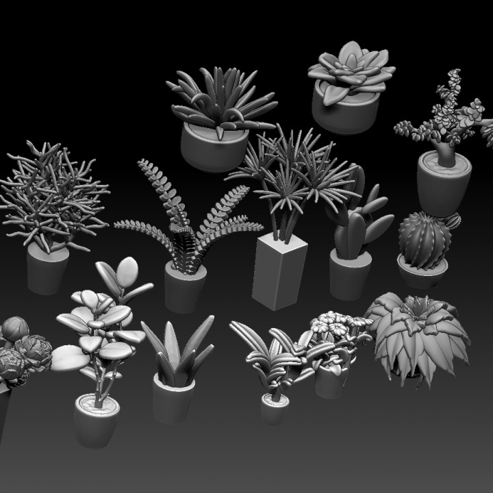 3D Printable home plants by Dmitry Tishchenkov