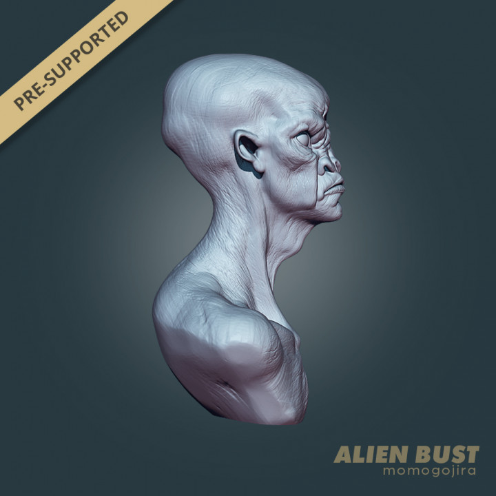 3D Printable Alien Bust by Momo