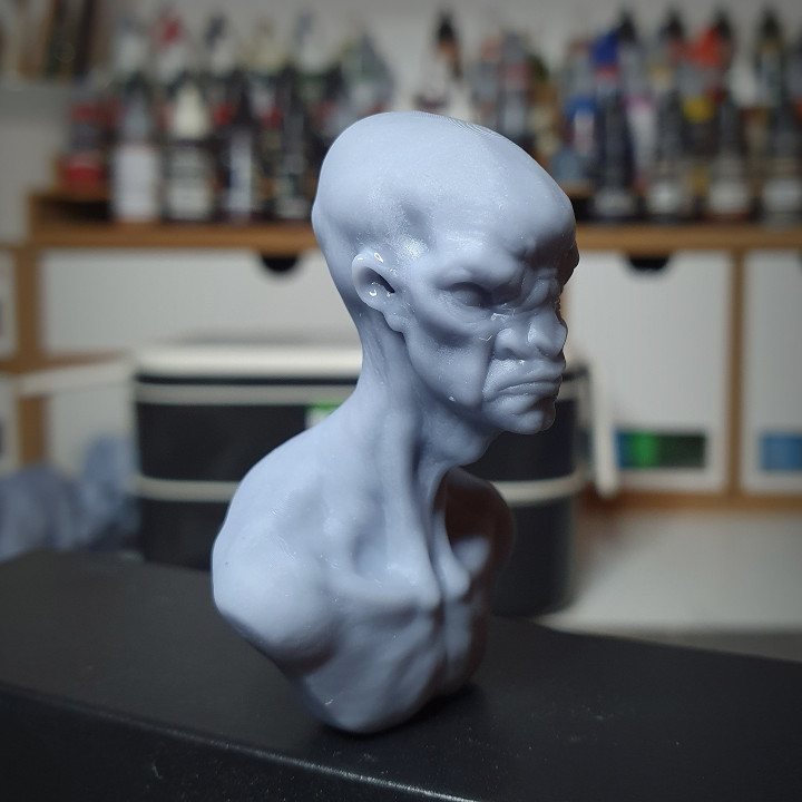 3D Printable Alien Bust by Momo