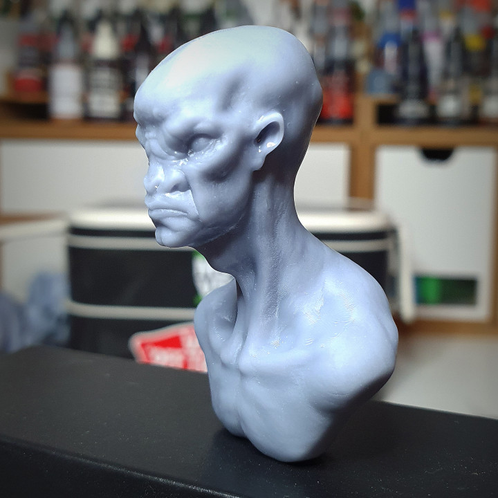 3D Printable Alien Bust by Momo