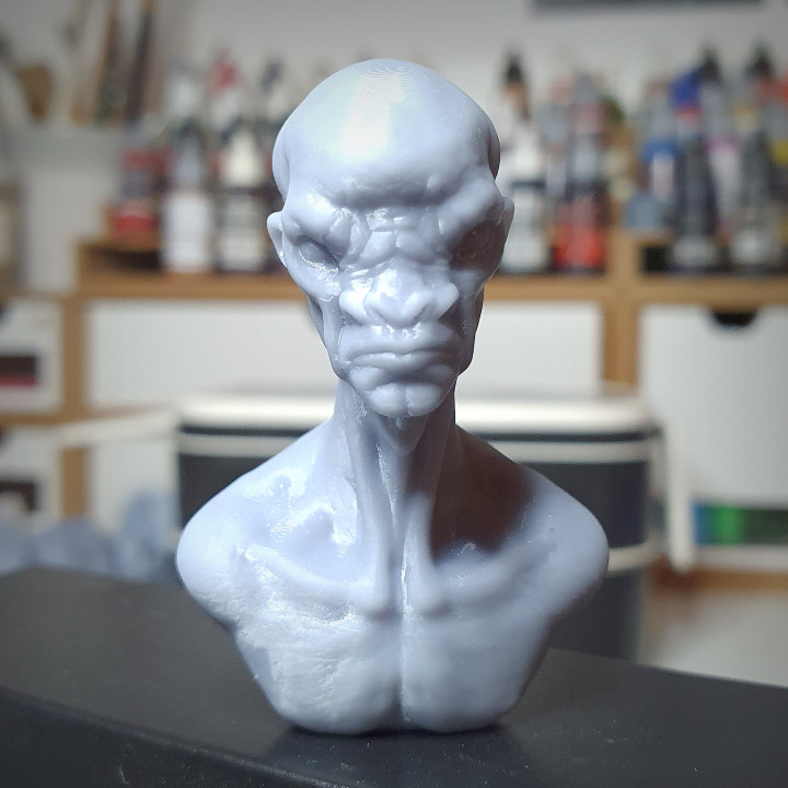 3D Printable Alien Bust by Momo
