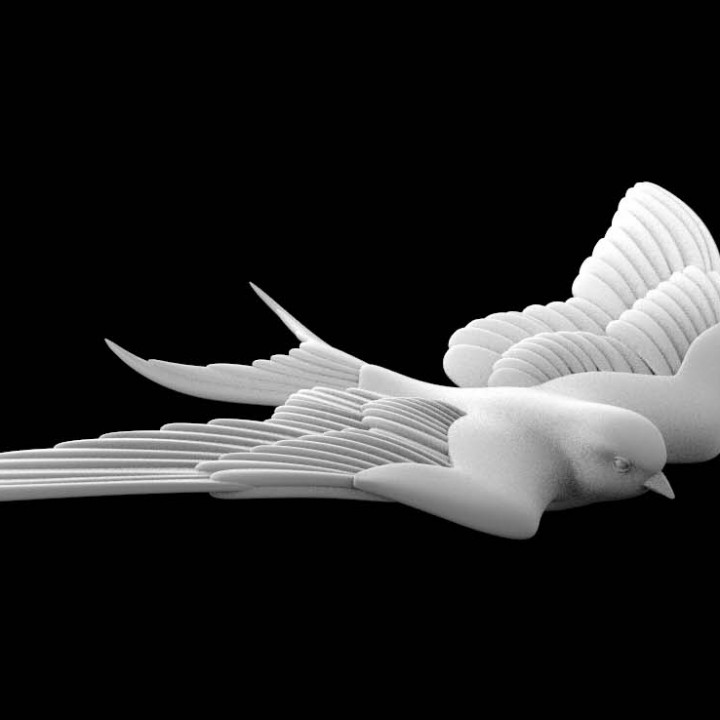 3D Printable swallow by Dmitry Tishchenkov