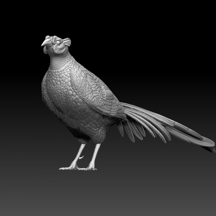 3D Printable pheasant by Dmitry Tishchenkov