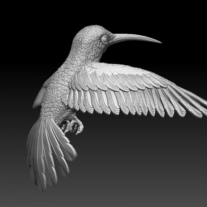 3D Printable colibri humming bird by 3Dimontis
