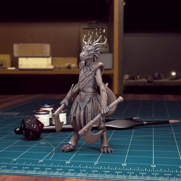 3D Printable DnD Heroes Dragonborn Fighter Female [Pre-Supported] by TytanTroll Miniatures