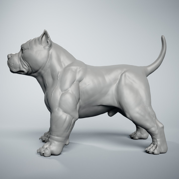 3D Printable American Bully by Art of V