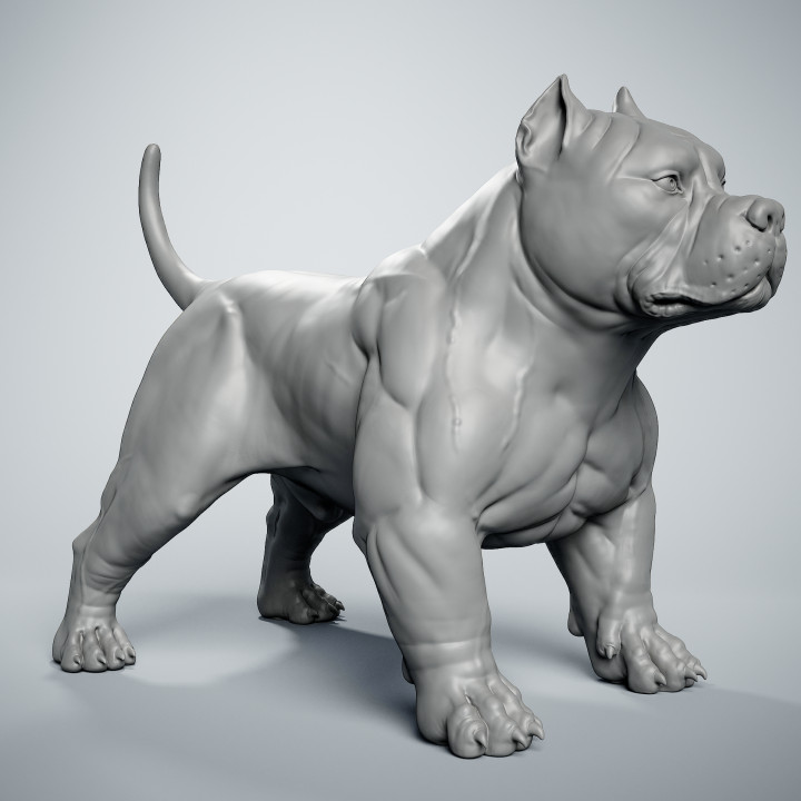 3D Printable American Bully by Art of V