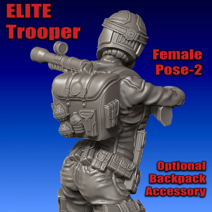 3D Printable Elite 'Cartoon' Trooper, Female Pose 2 by Dark-Platypus Studio