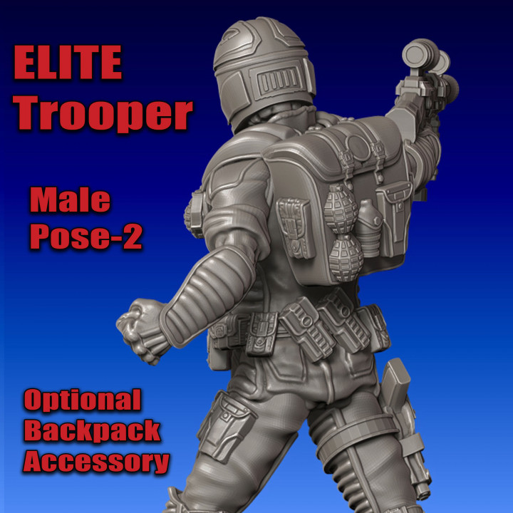 3D Printable Elite 'Cartoon' Trooper, Male Pose 2 by Dark-Platypus Studio