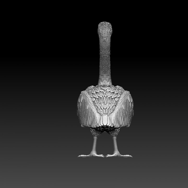 3D Printable pelican by 3Dimontis