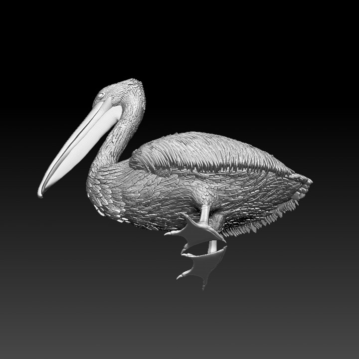 3D Printable pelican by 3Dimontis