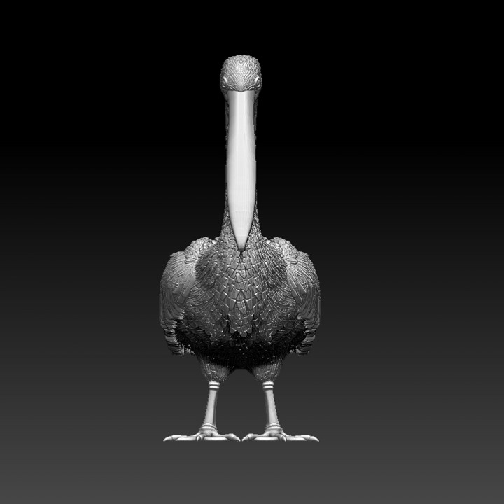 3D Printable pelican by Tishchenkov Dmitrii