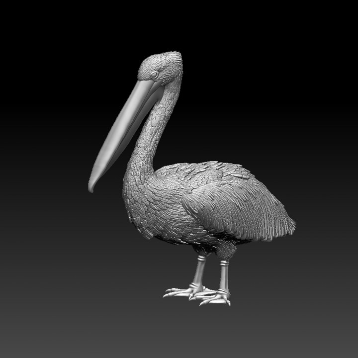 3D Printable pelican by Tishchenkov Dmitrii