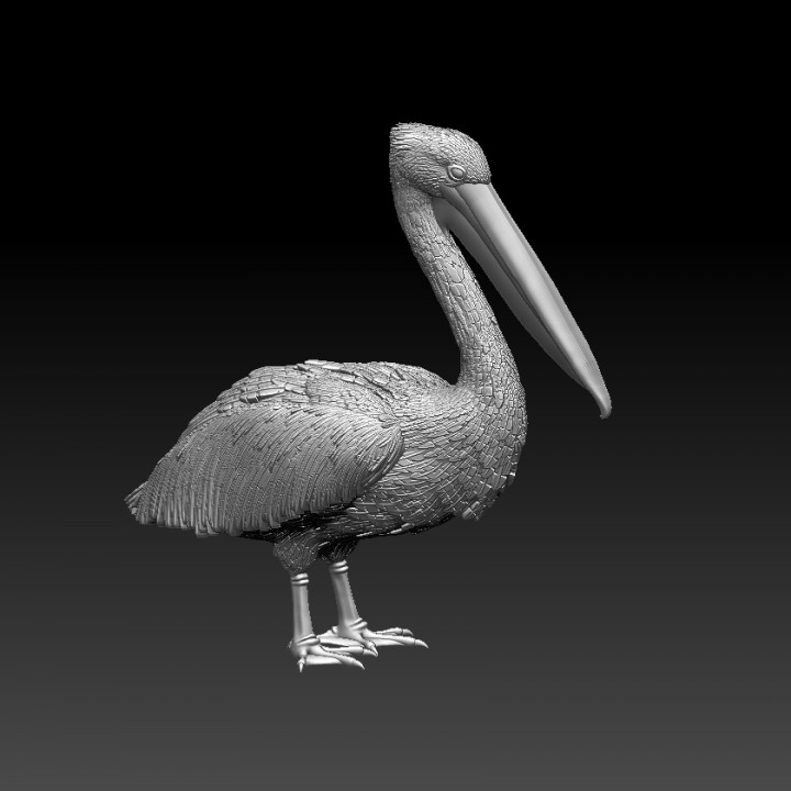 3D Printable pelican by 3Dimontis