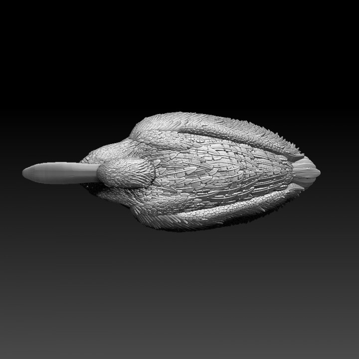 3D Printable pelican by 3Dimontis