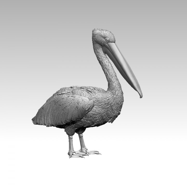 3D Printable pelican by 3Dimontis