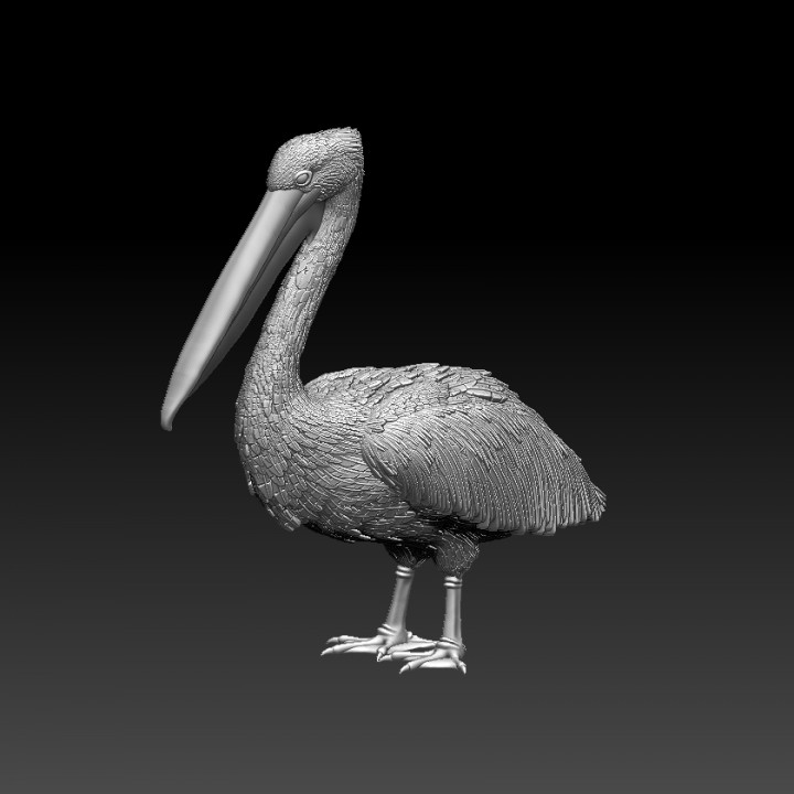 3D Printable pelican by 3Dimontis