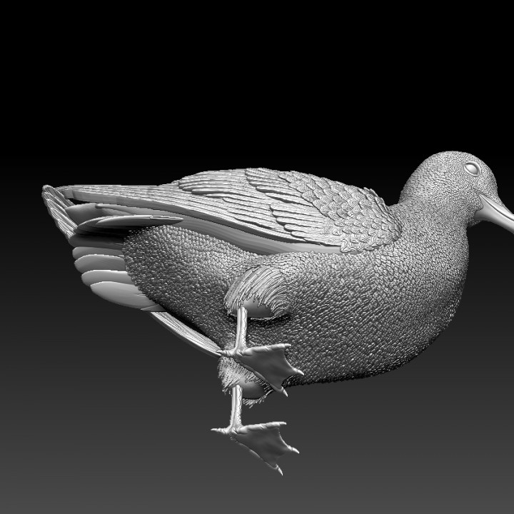 3D Printable seagull by Dmitry Tishchenkov