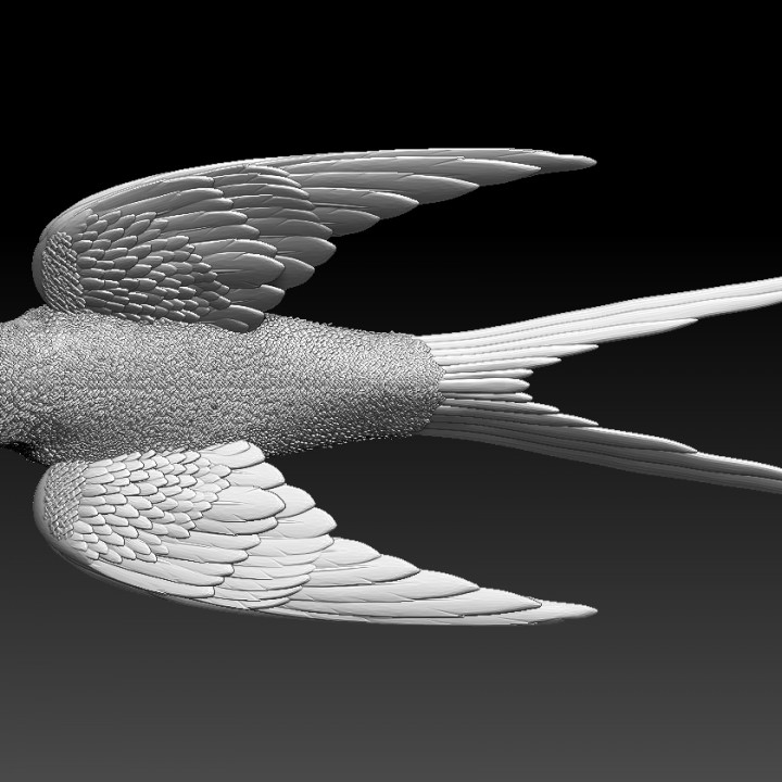 3D Printable swallow by Dmitry Tishchenkov