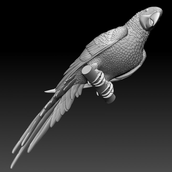 3D Printable parrot by 3Dimontis