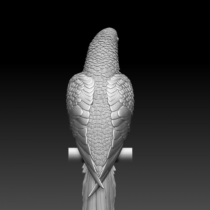 3D Printable parrot by 3Dimontis