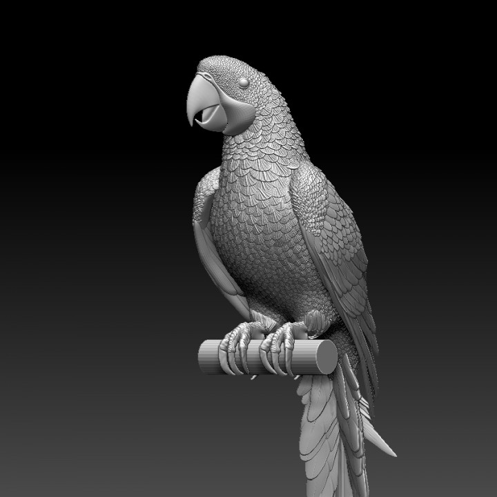 3D Printable parrot by 3Dimontis