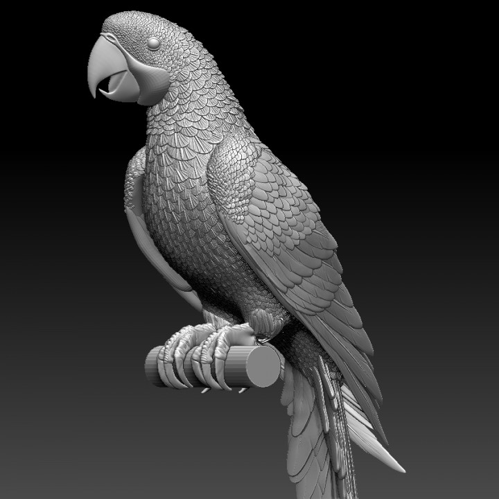 3D Printable parrot by 3Dimontis