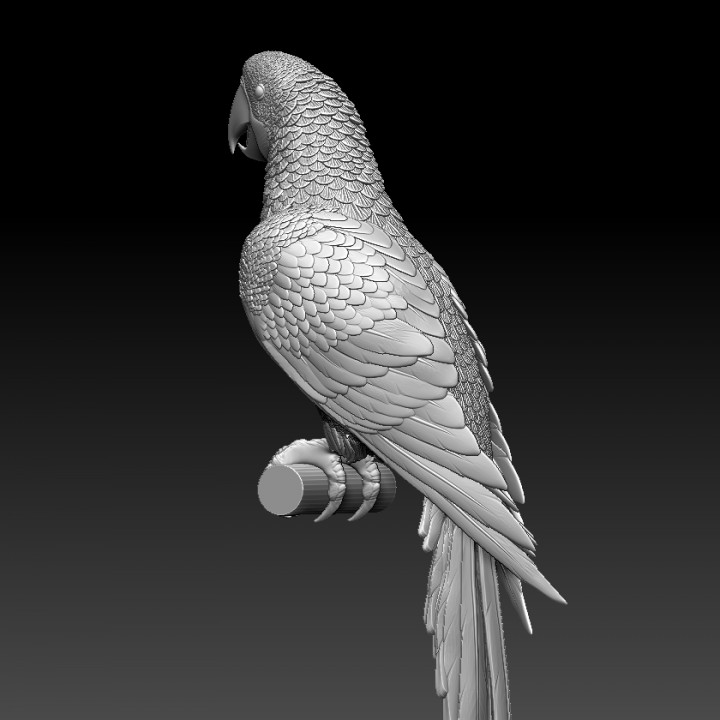 3D Printable parrot by 3Dimontis