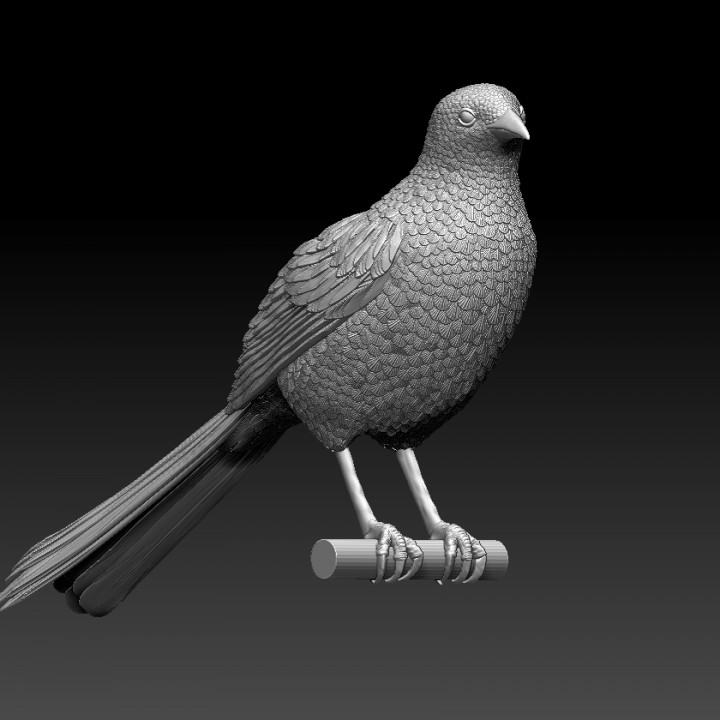 3D Printable bird magpie by 3Dimontis
