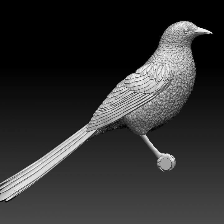 3D Printable bird magpie by 3Dimontis
