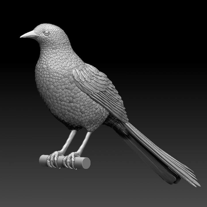 3D Printable bird magpie by 3Dimontis