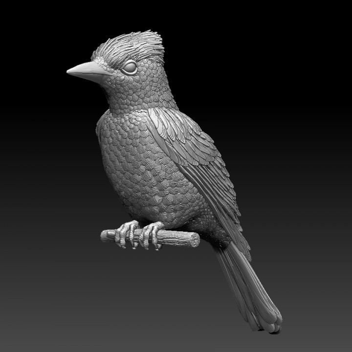 3D Printable jay by Dmitrii Tishchenkov