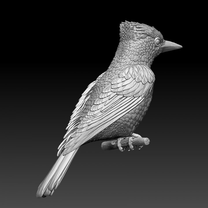 3D Printable jay by Dmitrii Tishchenkov