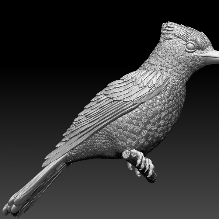3D Printable jay by Dmitrii Tishchenkov