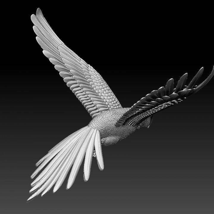 3D Printable parrot by 3Dimontis
