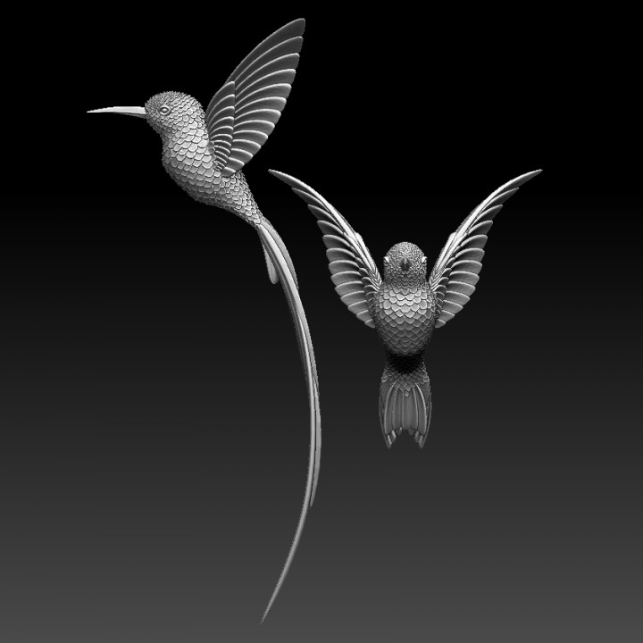 3D Printable colibri humming bird by Dmitry Tishchenkov