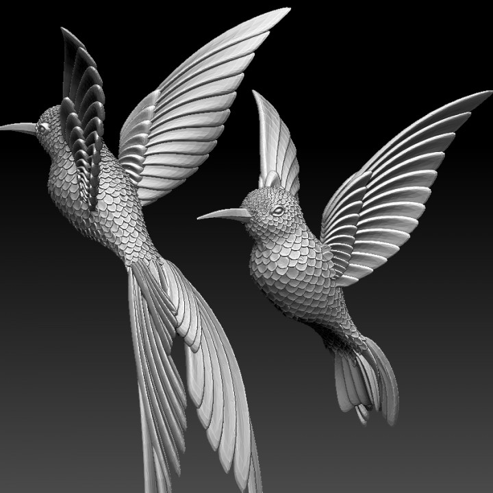 3D Printable colibri humming bird by Dmitry Tishchenkov