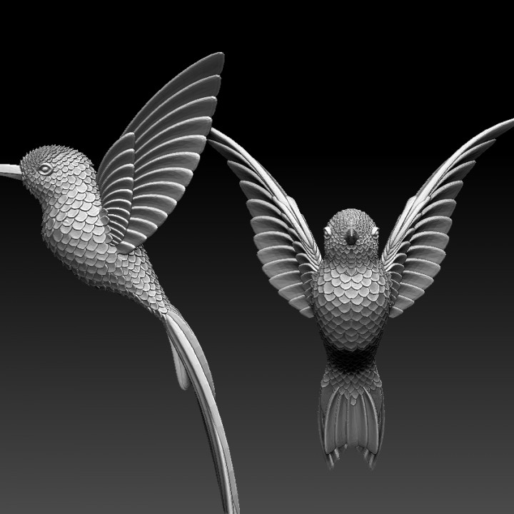 3D Printable colibri humming bird by Dmitry Tishchenkov