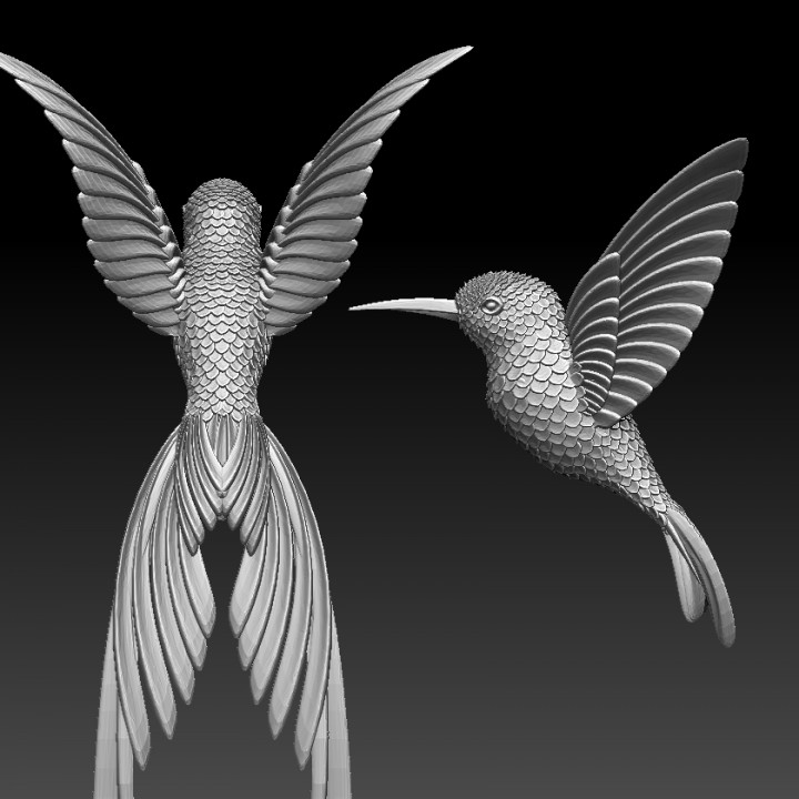 3D Printable colibri humming bird by Dmitry Tishchenkov