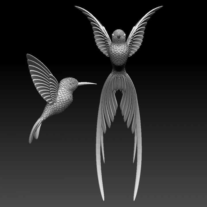 3D Printable colibri humming bird by Dmitry Tishchenkov