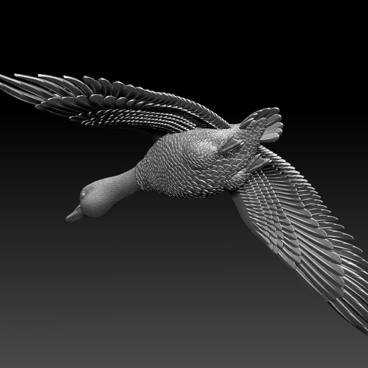 3D Printable bird by Dmitrii Tishchenkov