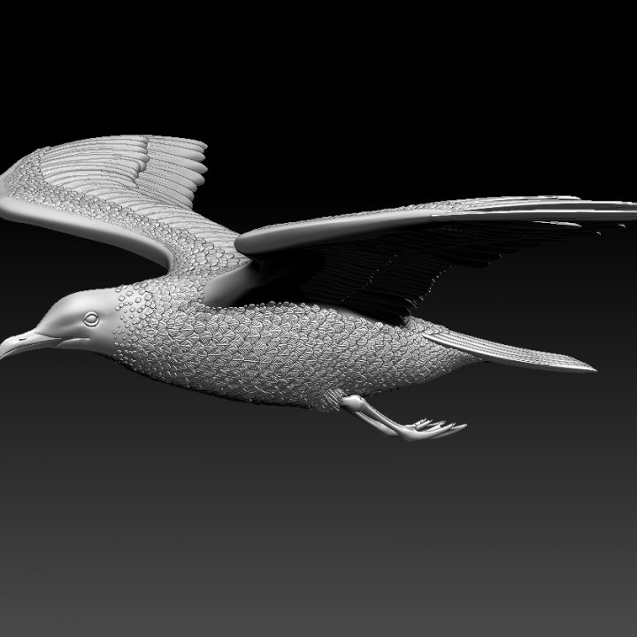 3D Printable seagull by Dmitry Tishchenkov